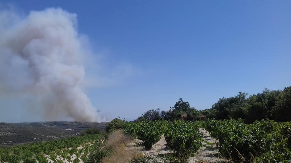 Πυρκαγιά στη Λεμεσό: Για κακοβούλη ενέργεια κάνουν λόγο οι κάτοικοι της ...
