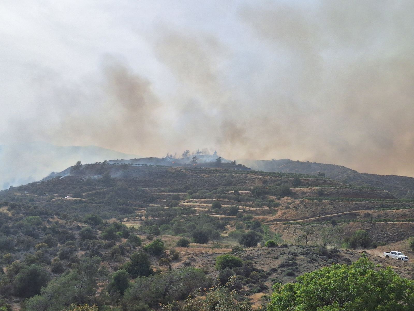 Σε ύφεση η πυρκαγιά στο Δάσος Λεμεσού: Ισχυρές δυνάμεις πυρόσβεσης καθ ...