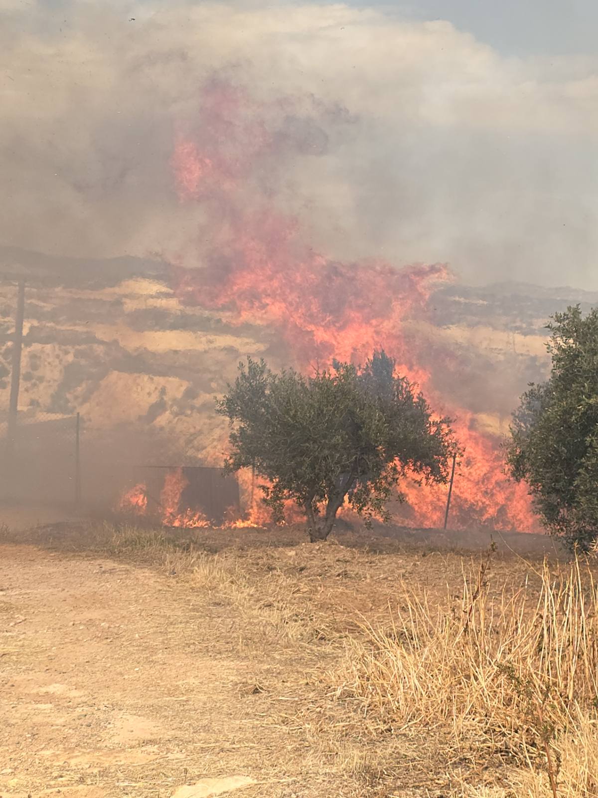 Τιτάνια μάχη με πολυμέτωπη πυρκαγιά στον Άγιο Σύλα - Σε ύφεση τα μέτωπα ...
