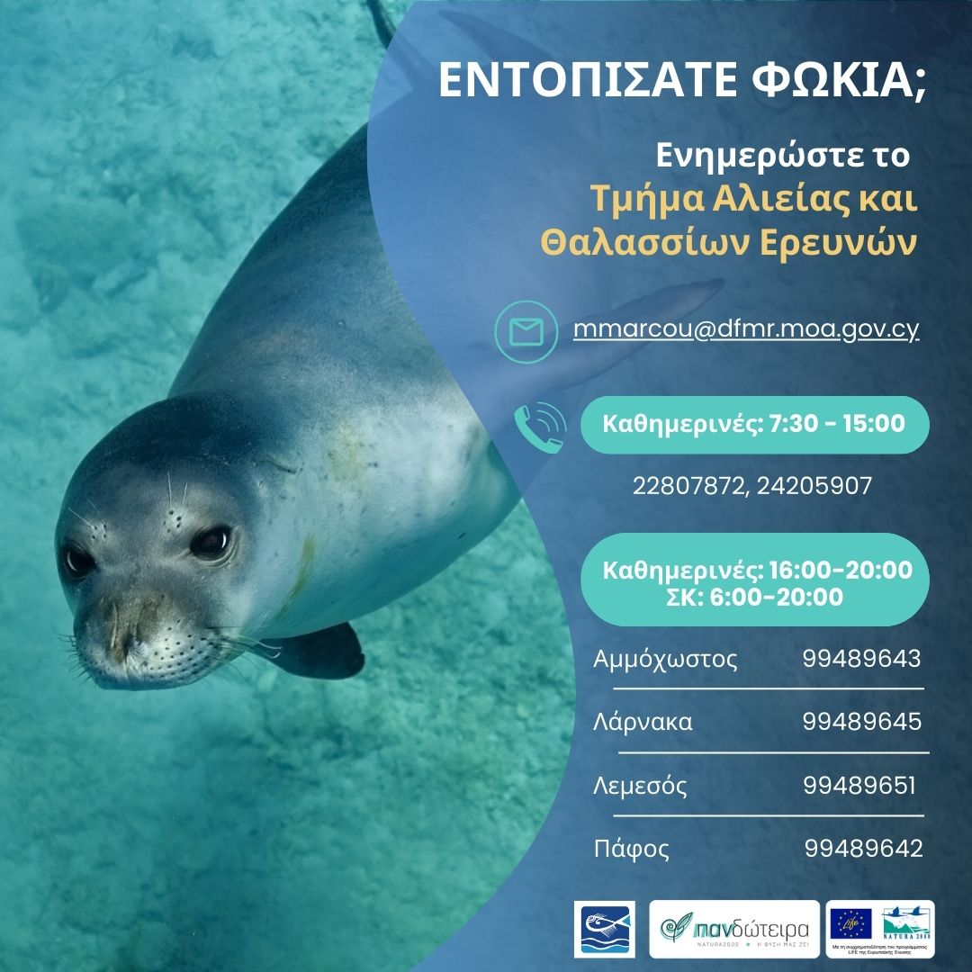 Η Μεσογειακή Φώκια Monachus monachus στην Κύπρο | Ant1 Live