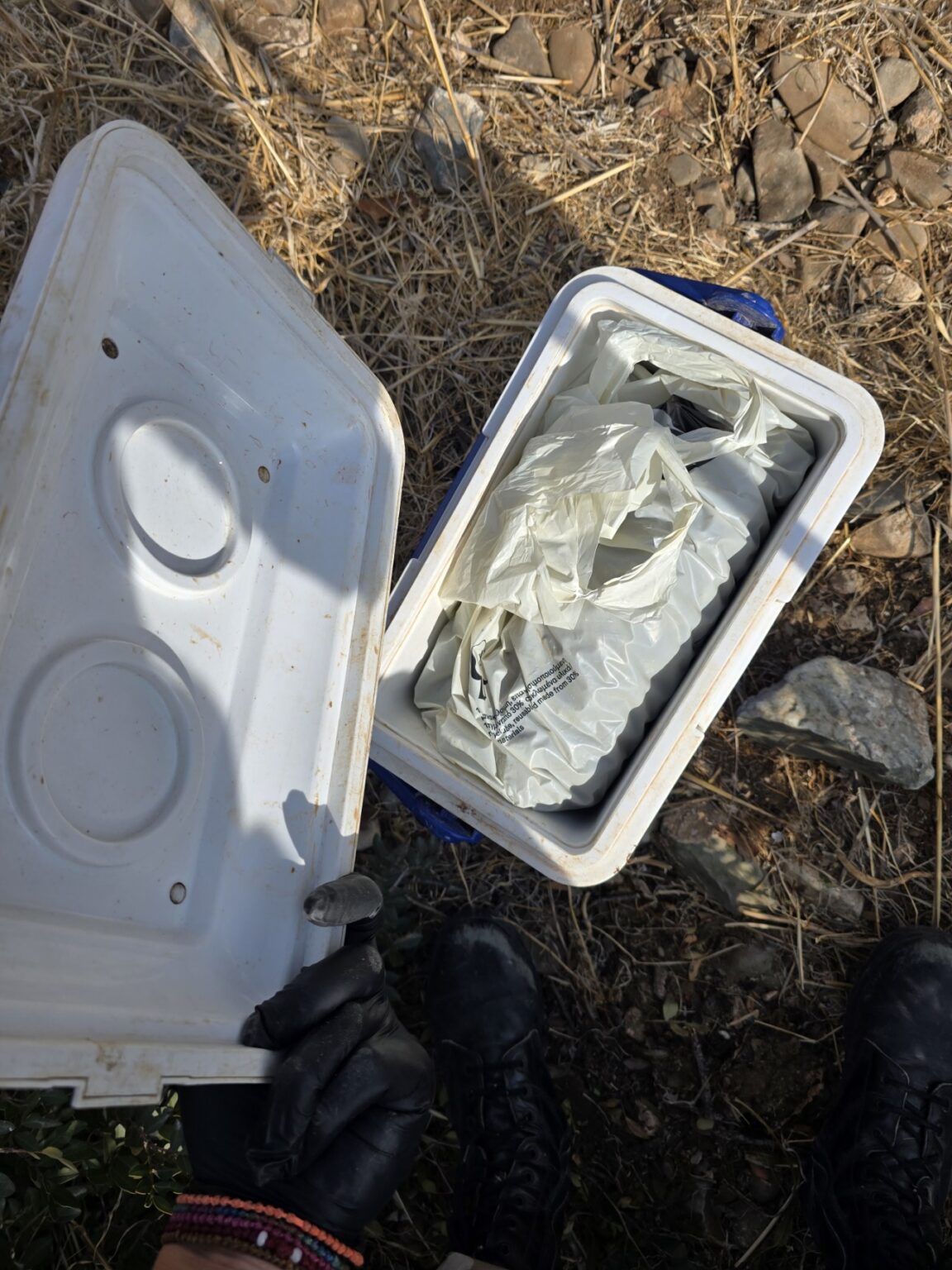 Η ΥΚΑΝ εντόπισε «φωλιά» ναρκωτικών στη Λάρνακα - Χειροπέδες σε 42χρονο | Ant1 Live