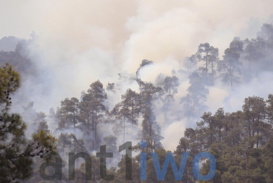 To ant1iwo στο πύρινο μέτωπο [φωτογραφίες] | Ant1 Live