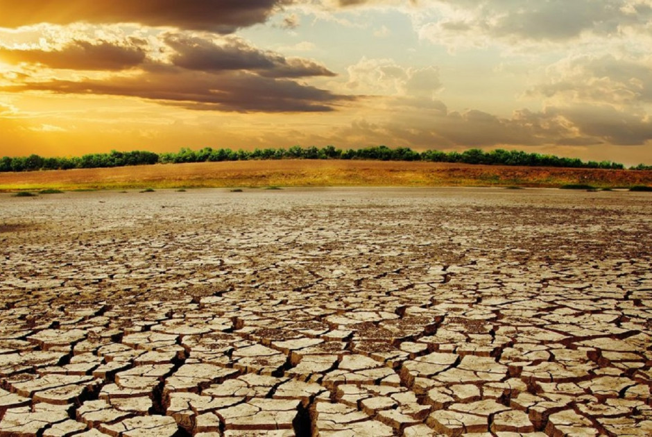 Οι καύσωνες απειλούν να σκοτώνουν 90.000 Ευρωπαίους τον χρόνο | Ant1 Live