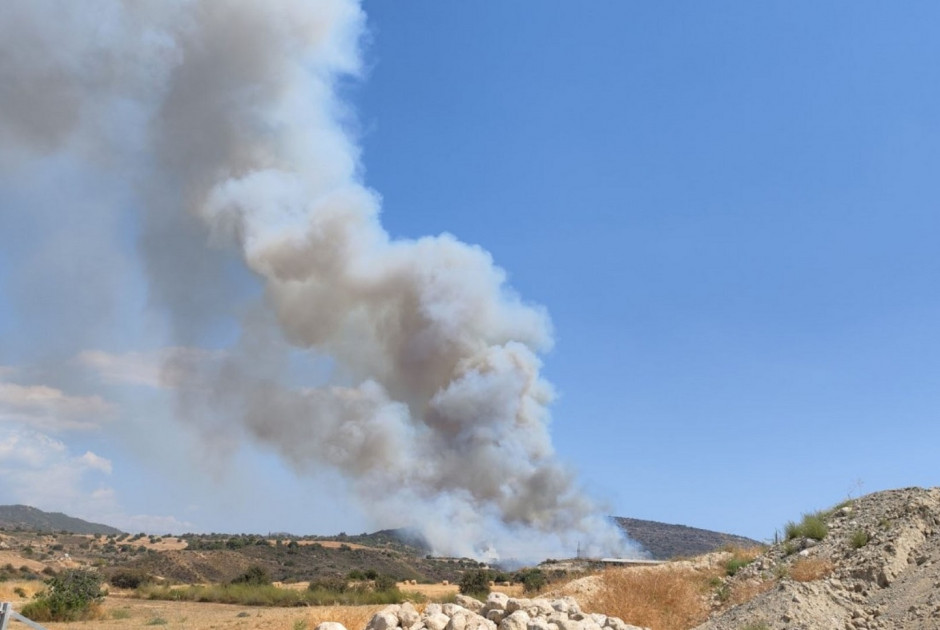 Πυρκαγιά Πελαθούσας: Η σύλληψη, οι αναφορές της Πυροσβεστικής και η ...