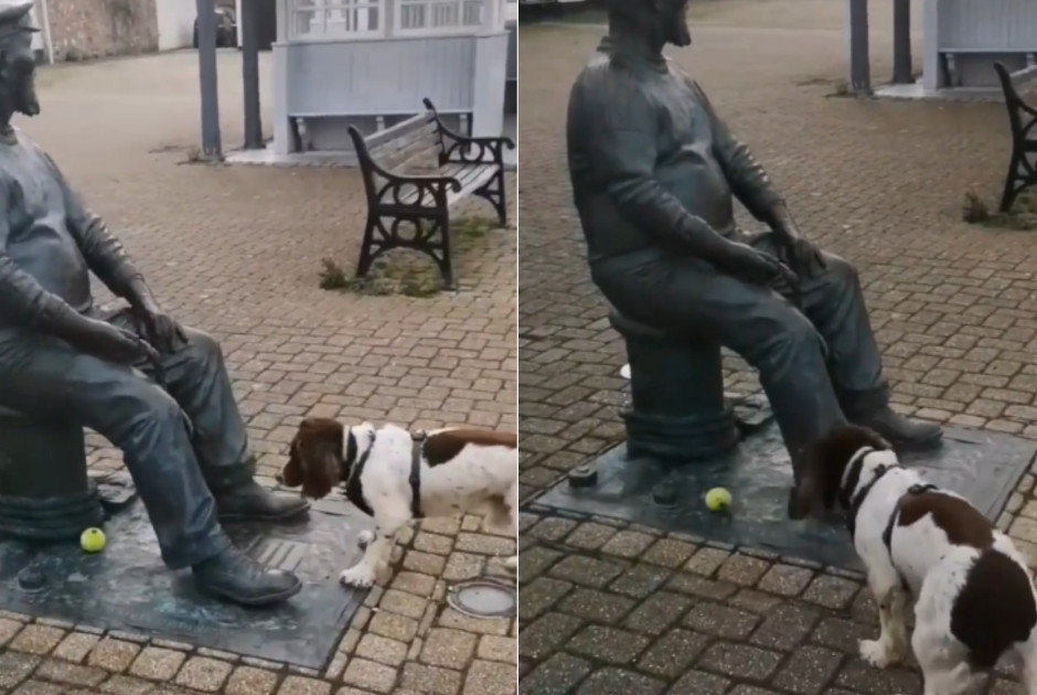 Viral Βίντεο: Σκύλος «προσκαλεί» άγαλμα να παίξουν με τη μπάλα του ...