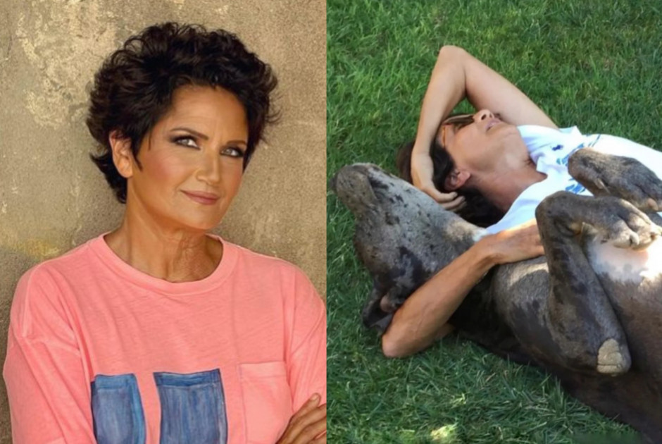 Άλκηστις Πρωτοψάλτη: Η συγκινητική ανάρτηση για το σκυλάκι της που ...