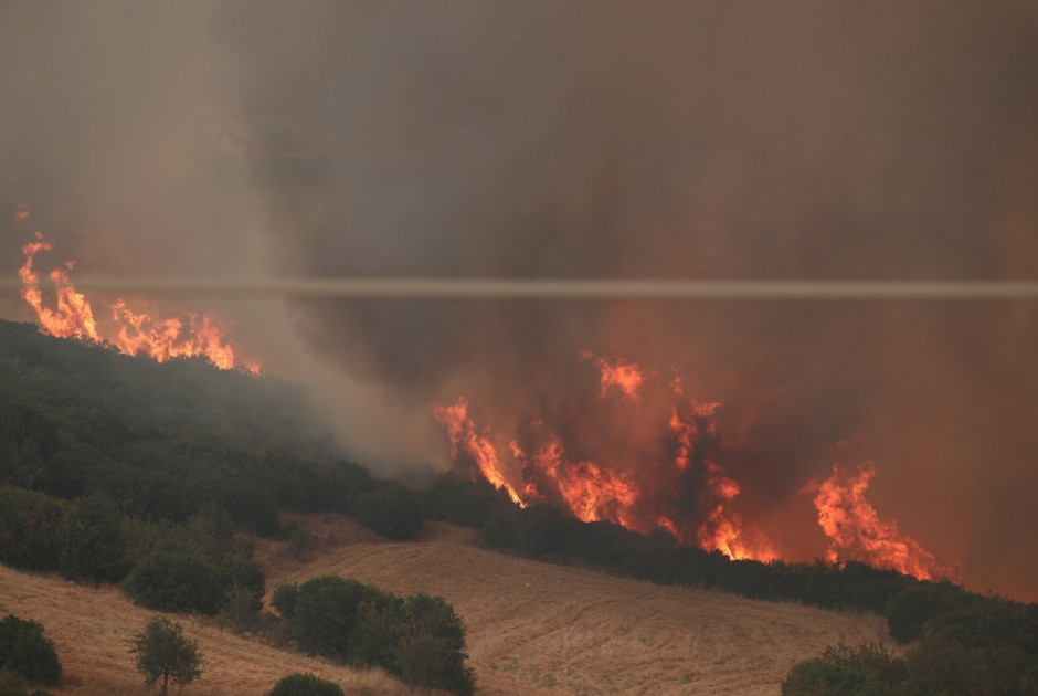 Ασύλληπτη τραγωδία στον Έβρο - Ένας ακόμα νεκρός από τη φωτιά στο δάσος ...