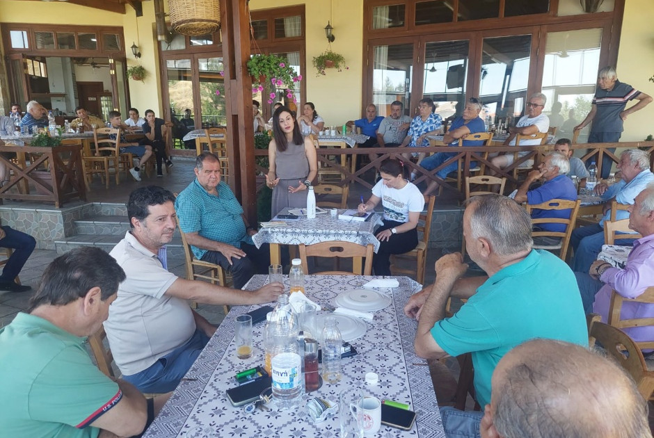 Τις πυρόπληκτες περιοχές της Επαρχίας Λευκωσίας επισκέφθηκε η Υπ ...