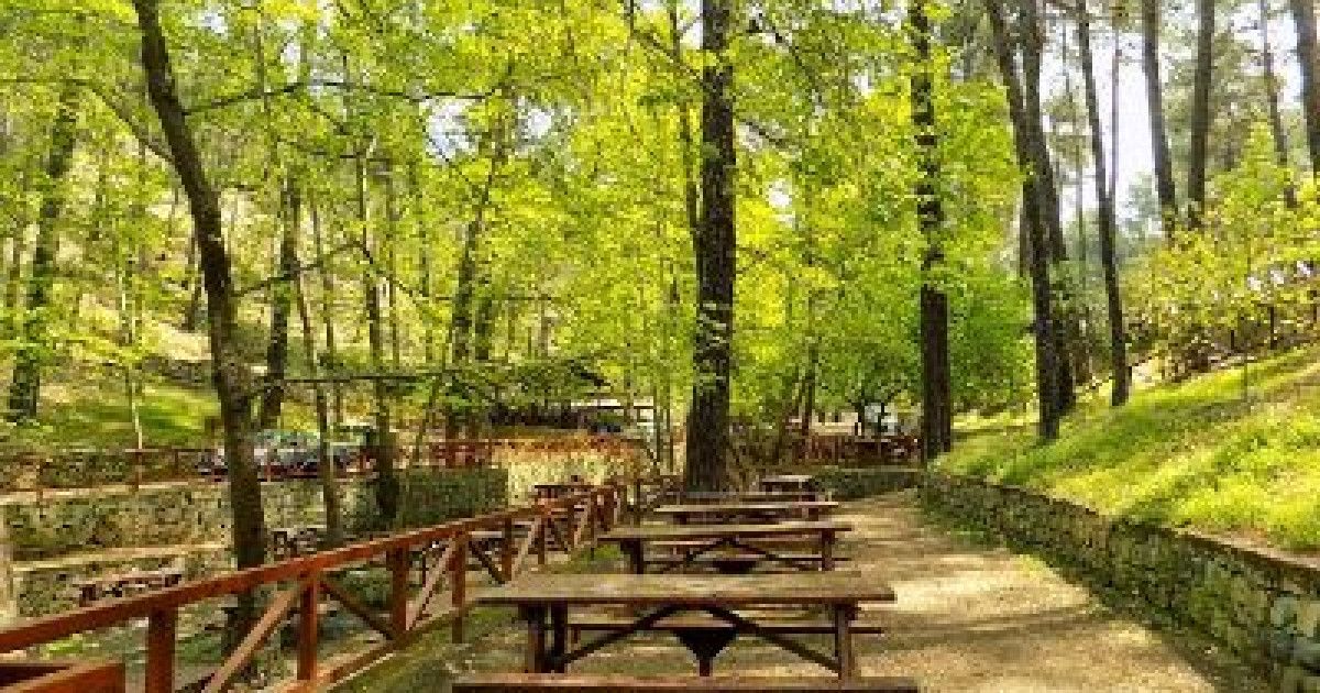 Τμήμα δασών καλεί το κοινό να είναι ιδιαίτερα προσεχτικό τον 15Αύγουστο ...