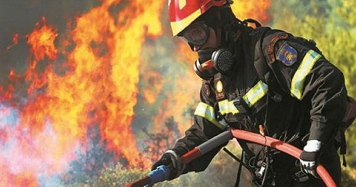Σκύλος δάγκωσε πυροσβέστη την ώρα που έσβηνε φωτιά | Ant1 Live