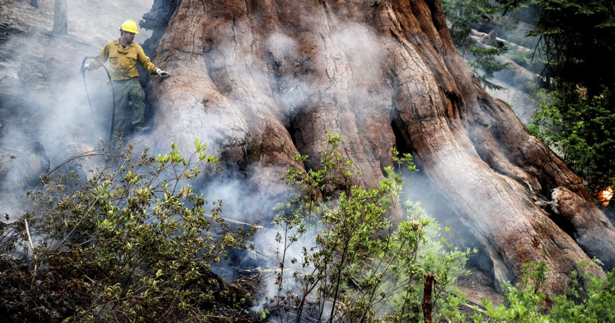 Καλιφόρνια: Πυρκαγιά απειλεί τα μεγαλύτερα δέντρα του πλανήτη (ΒΙΝΤΕΟ ...