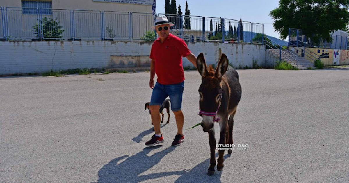 Εκλογές Ελλάδα: Αγρότης πήγε να ψηφίσει με το γαϊδουράκι του και έγινε ...