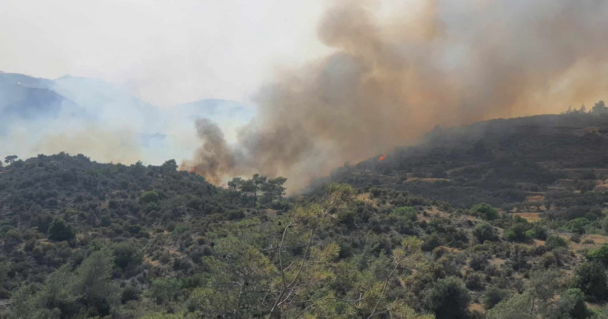Κόκκινος συναγερμός για δασικές πυρκαγιές αύριο σε όλη την Κύπρο | Ant1 ...