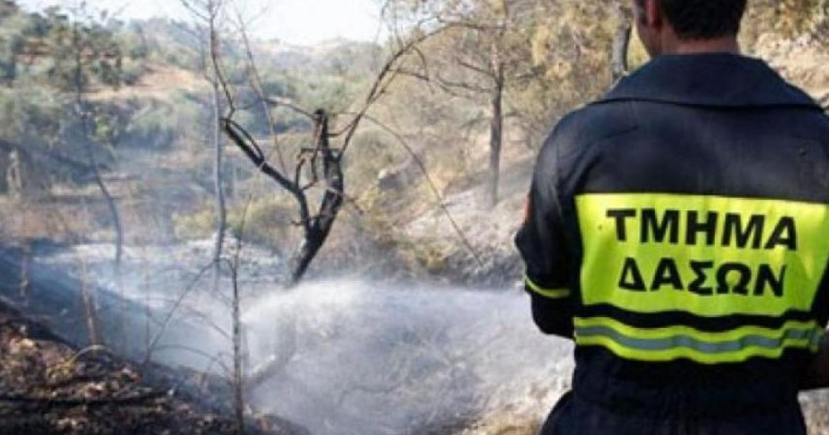 Σ. Ιεζεκιήλ: «Το σχέδιο πυροπροστασίας κοινοτήτων πρέπει να μελετηθεί ...