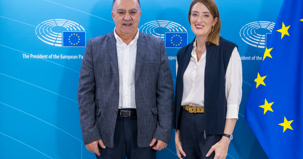 Συνάντηση Ευρωβουλευτή Γεωργίου με την Πρόεδρο του ΕΚ Ρ. Μέτσολα | Ant1 ...